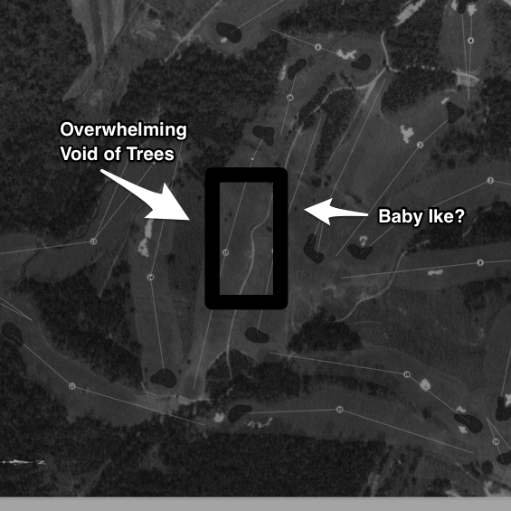 The Eisenhower Tree: Did It Matter? The Masters, Nandina, and Tree(s)