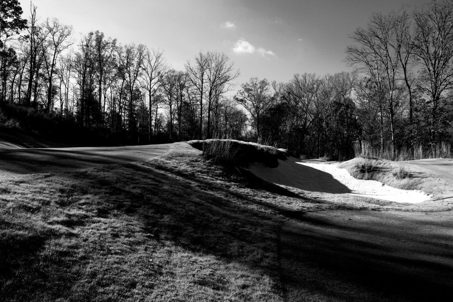 Old Toccoa Farm's Technique for Not Killing Retirees with Insane Slope